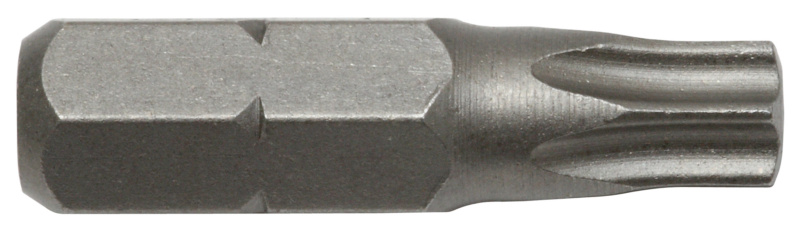 Bit TX 40 | SWG Schraubenwerk Gaisbach GmbH