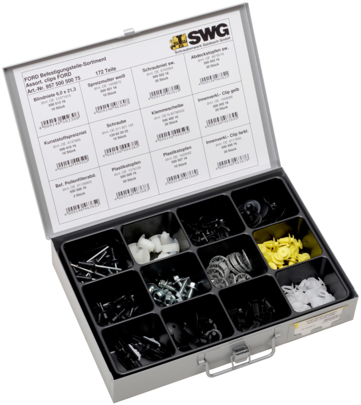 Sortiment Befestigungsteile Ford 172-teilig | SWG Schraubenwerk ...